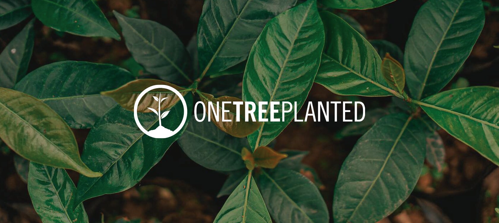 One Tree Planted | Grandin Road
