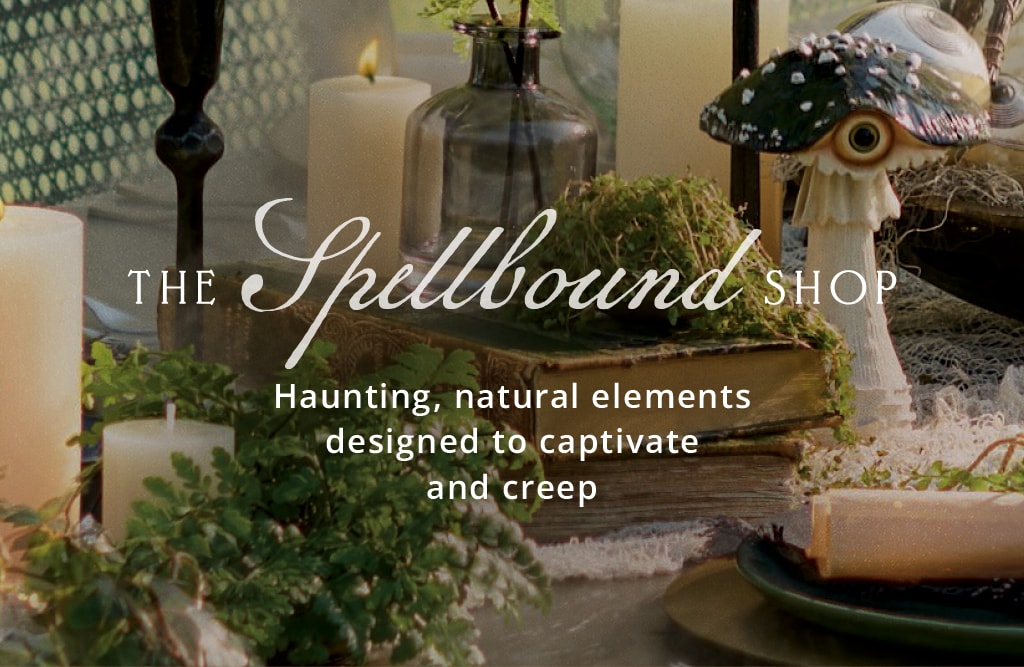 Spellbound Halloween Decor | Grandin Road