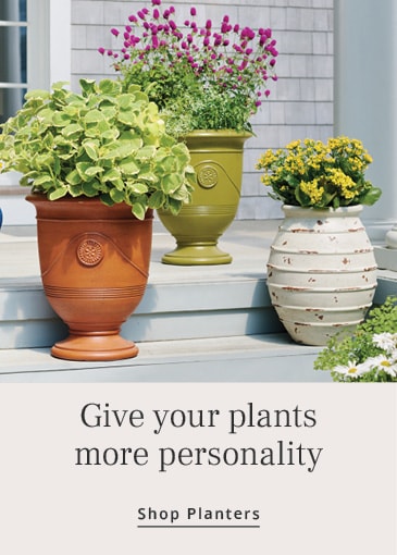 Faux Urn Fillers & Artificial Window Box Fillers | Grandin Road
